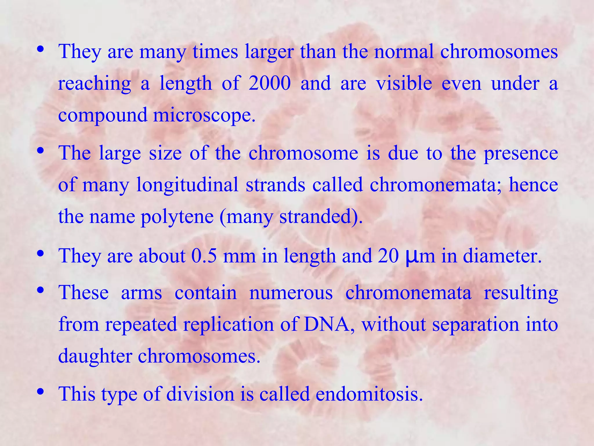 Giant chromosomes | PPTX | Genetics | Science