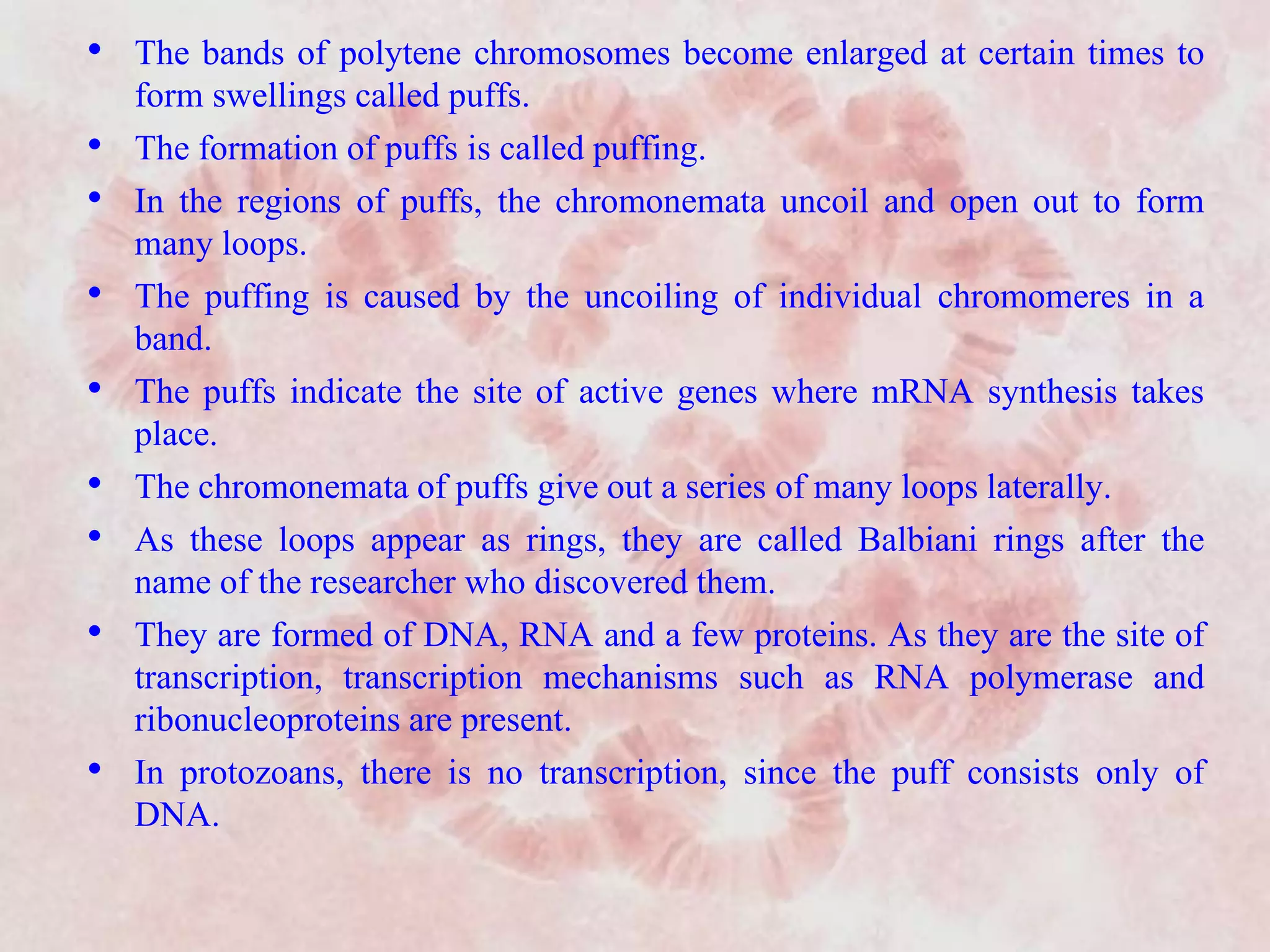 Giant chromosomes | PPTX | Genetics | Science