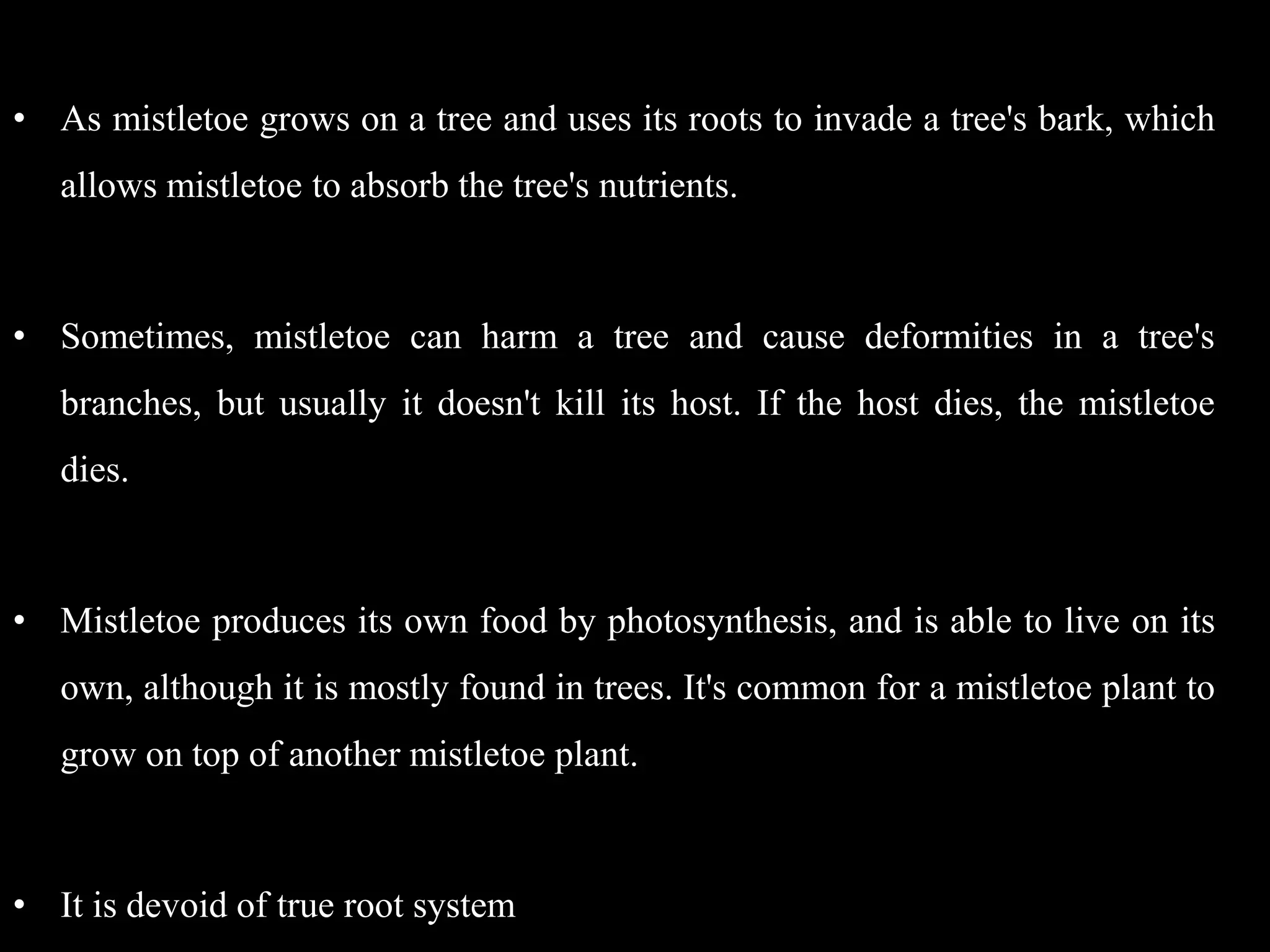 Giant mistletoe | PPT