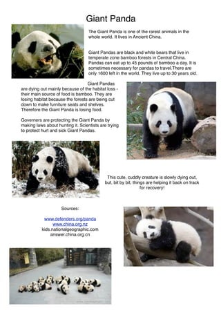 Giant panda | PAGES