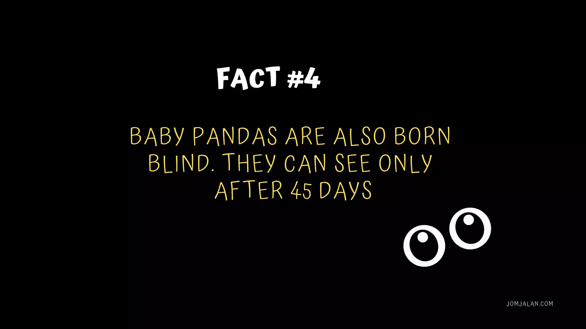 15 Giant Panda Facts for Kids | PDF