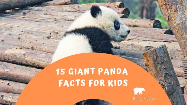 15 Giant Panda Facts for Kids | PDF