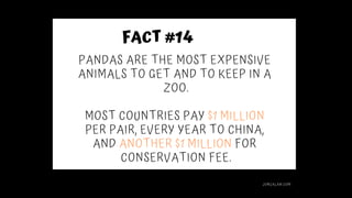 15 Giant Panda Facts for Kids | PDF