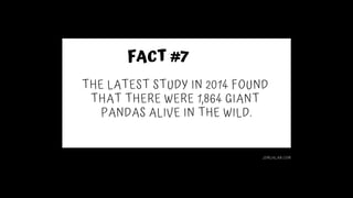 15 Giant Panda Facts for Kids | PDF