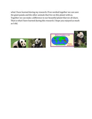 Giant panda for social studies | DOCX | Large Animals | Pets