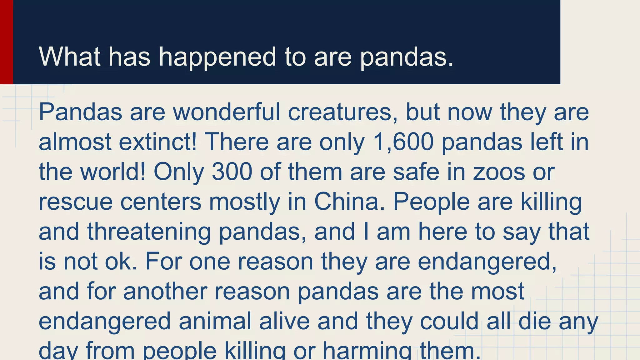 Giant pandas | PPT