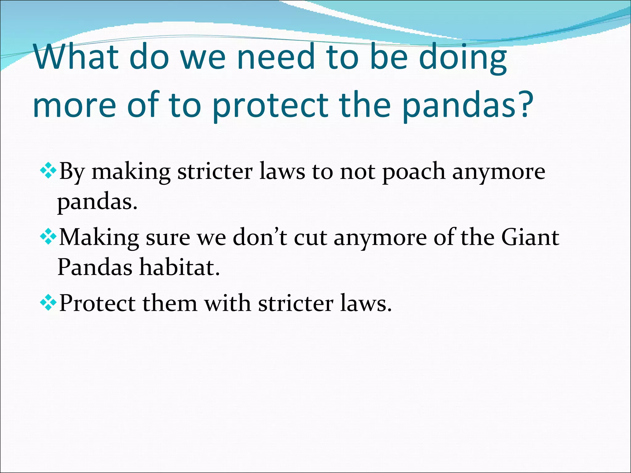 Zoe's Giant pandas-Power Point | PPT