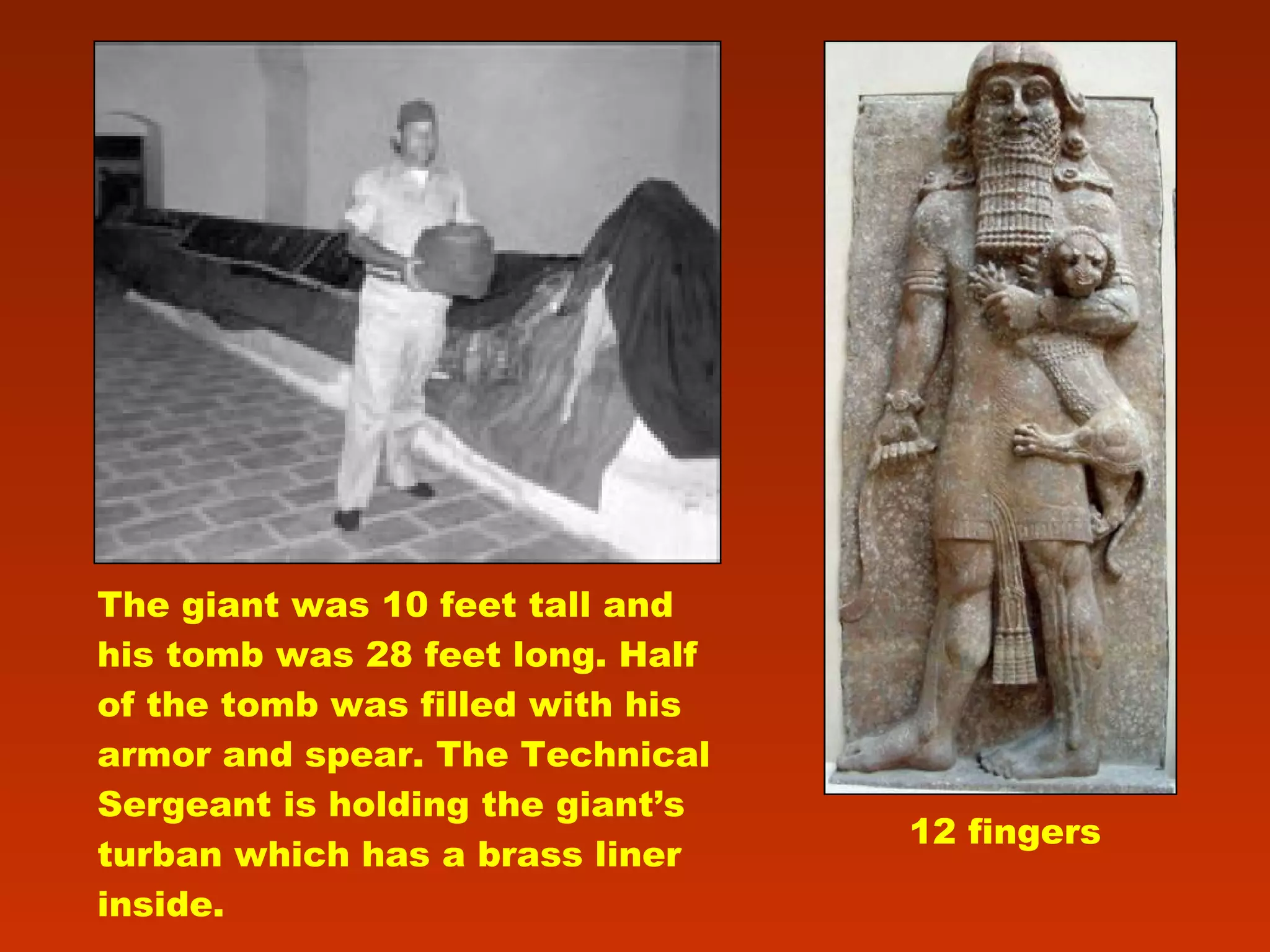 An Examination of Giants | PPT