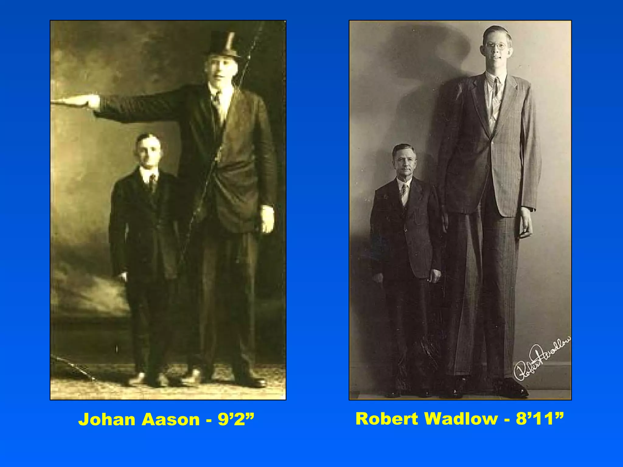 An Examination of Giants | PPT