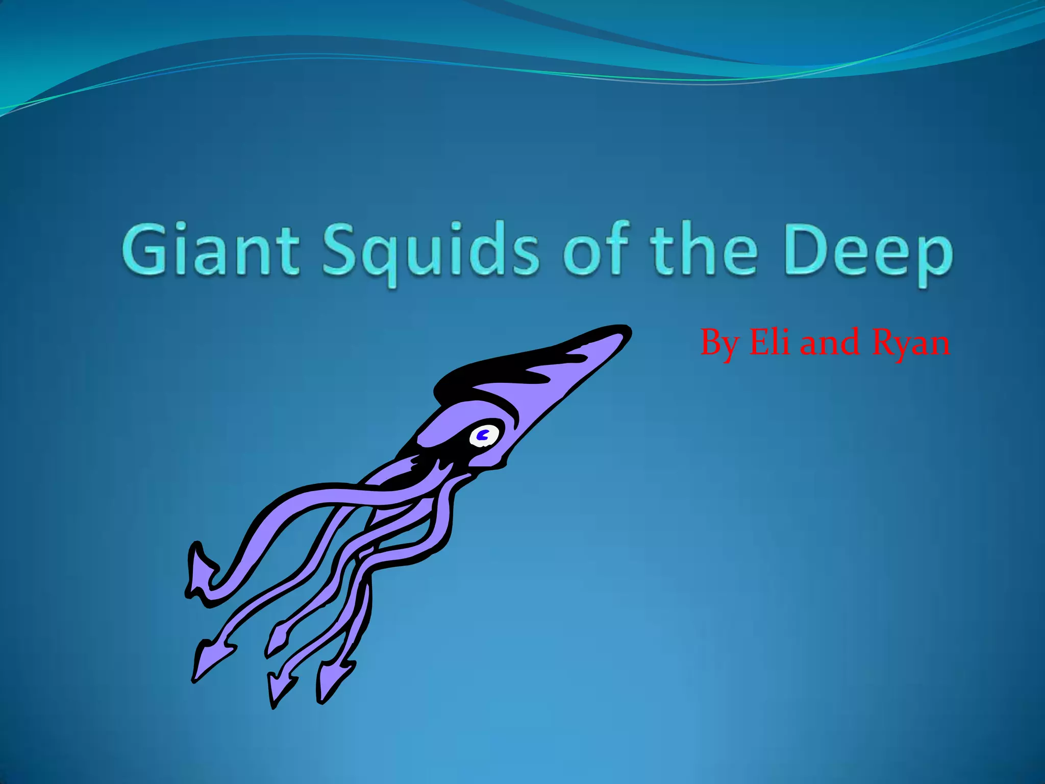 Giant squids of the deep eli & ryan | PPT