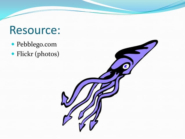 Giant squids of the deep eli & ryan | PPT