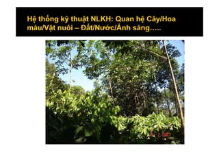 Giao duc NLKH quan he voi KTXHMT - Bao Huy.pdf