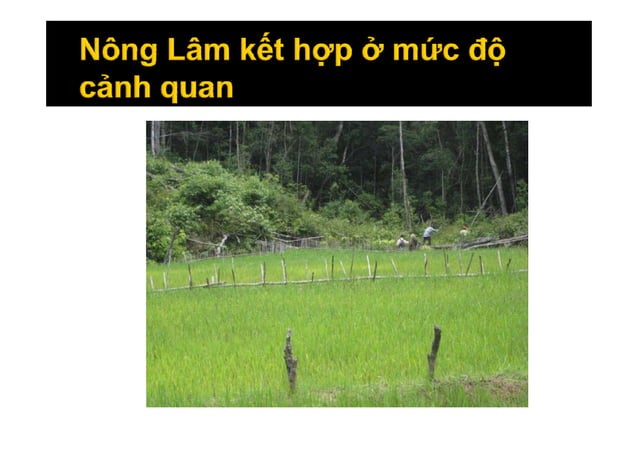 Giao duc NLKH quan he voi KTXHMT - Bao Huy.pdf