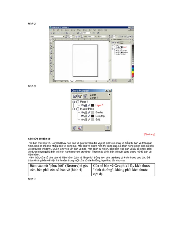 Giao trinh corel draw | PDF