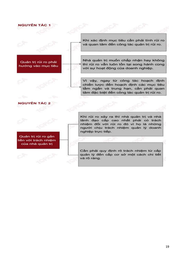 Giáo trình QUẢN TRỊ RỦI RO CHUYÊN NGÀNH QTKD | PDF