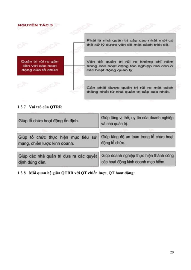 Giáo trình QUẢN TRỊ RỦI RO CHUYÊN NGÀNH QTKD | PDF