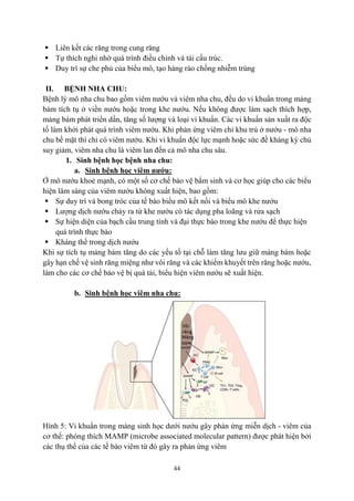 GIÁO TRÌNH RĂNG HÀM MẶT YDS BM NHA KHOA TỔNG QUÁT.pdf
