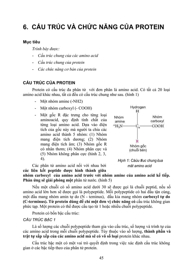 Giao_Trinh_Sinh_Hc_Phan_T.pdf sinhhocphantu | PDF