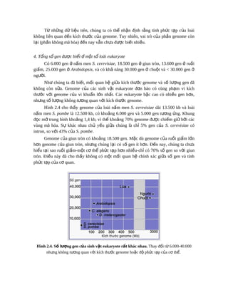 Giáo trình sinh học phân tử - Nguyễn Hoàng Lộc (Chủ biên) | PDF