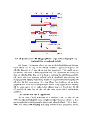 Giáo trình sinh học phân tử - Nguyễn Hoàng Lộc (Chủ biên) | PDF