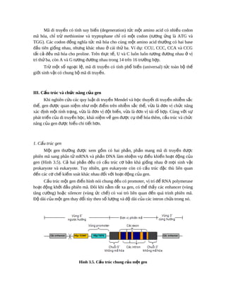 Giáo trình sinh học phân tử - Nguyễn Hoàng Lộc (Chủ biên) | PDF