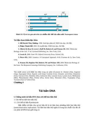 Giáo trình sinh học phân tử - Nguyễn Hoàng Lộc (Chủ biên) | PDF