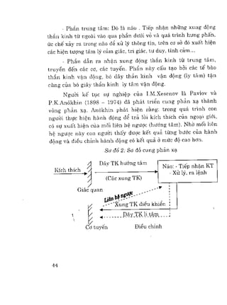 Giao trinh tam ly hoc dai cuong | PDF