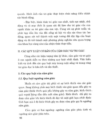 Giao trinh tam ly hoc dai cuong | PDF