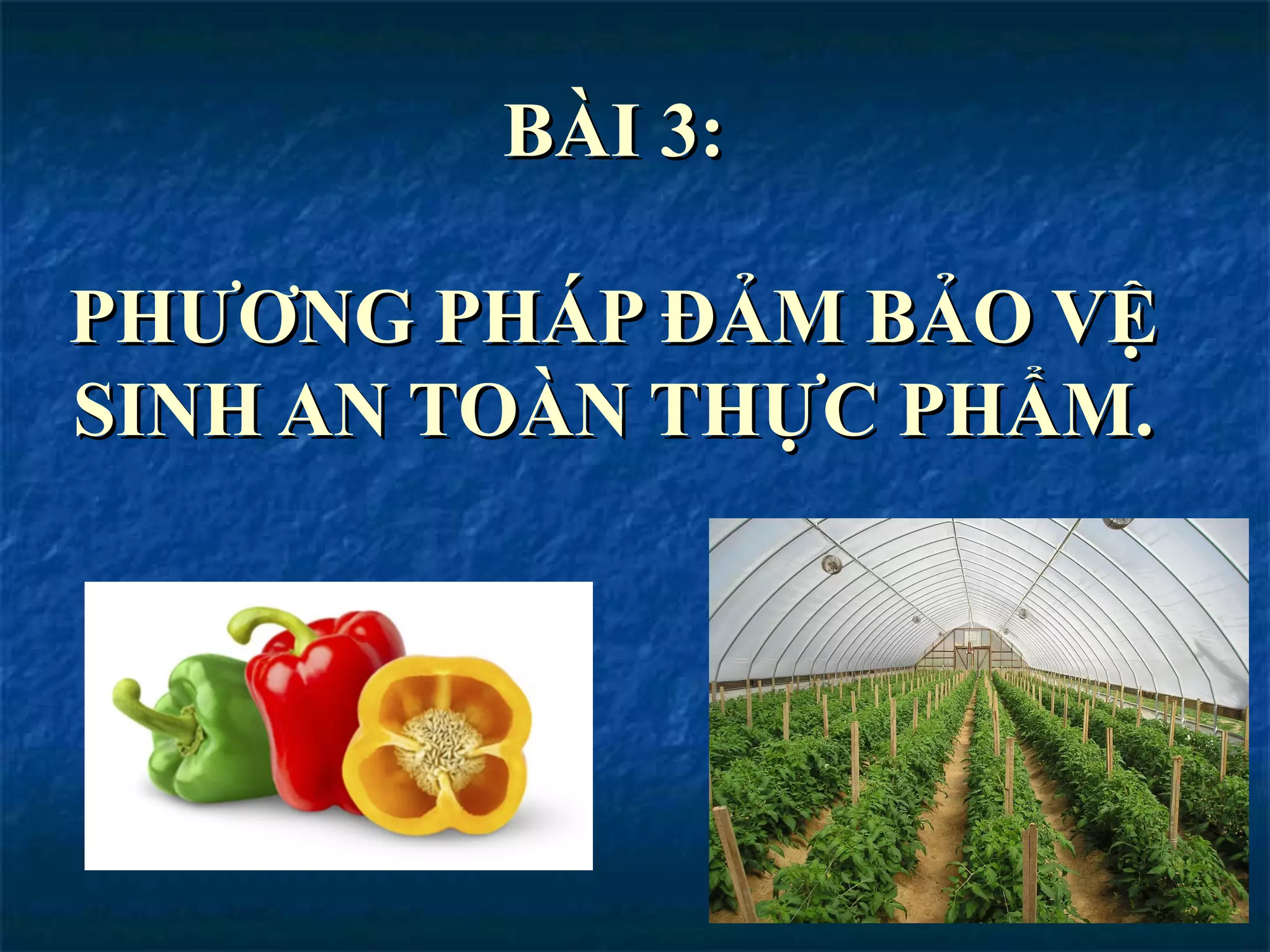 Giao trinh tập huấn vsattp | PPT