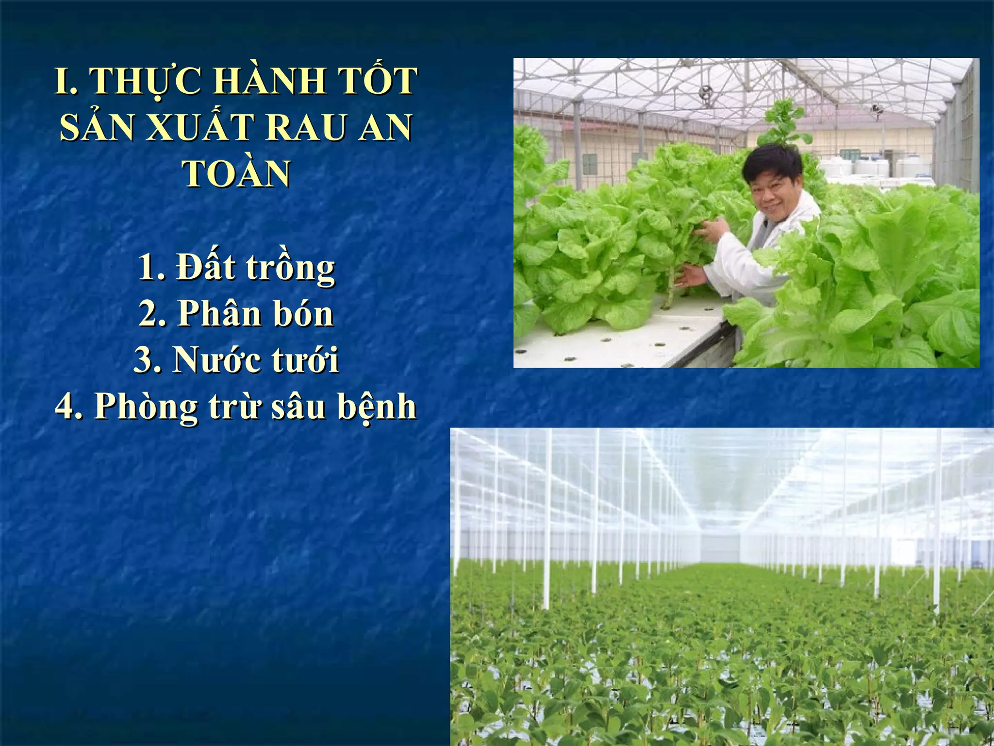 Giao trinh tập huấn vsattp | PPT