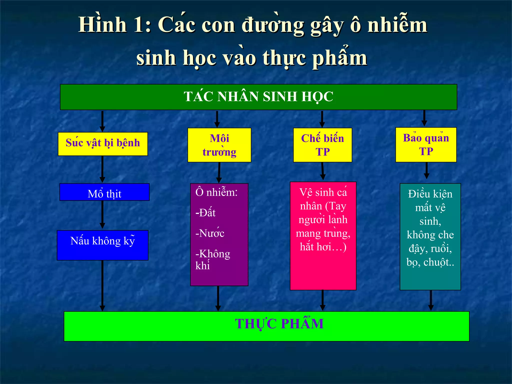 Giao trinh tập huấn vsattp | PPT