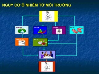 Giao trinh tập huấn vsattp | PPT