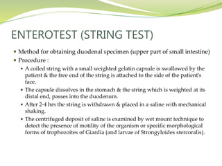 GIARDIA LAMBLIA | PPTX