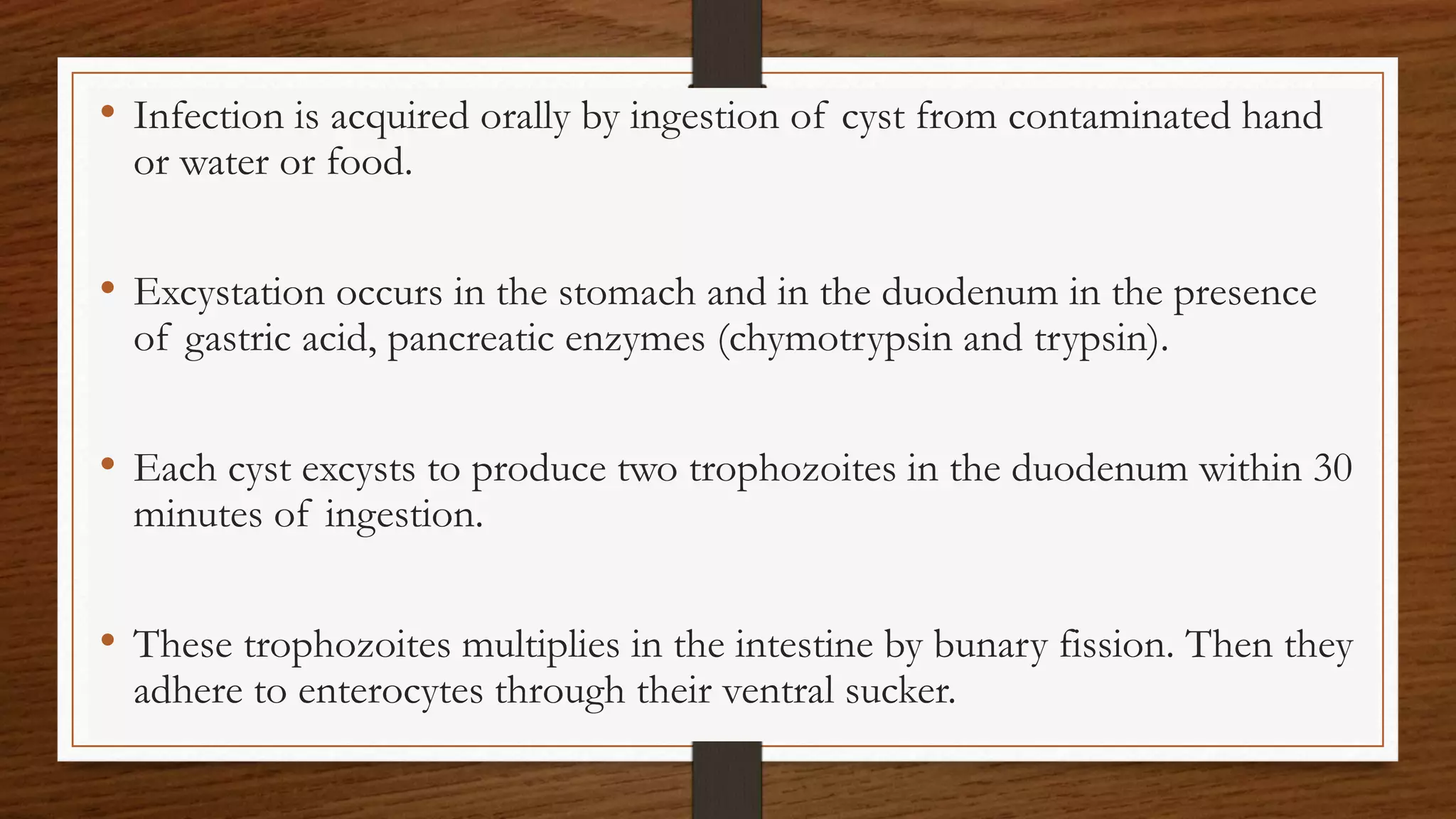 Giardia | PPTX