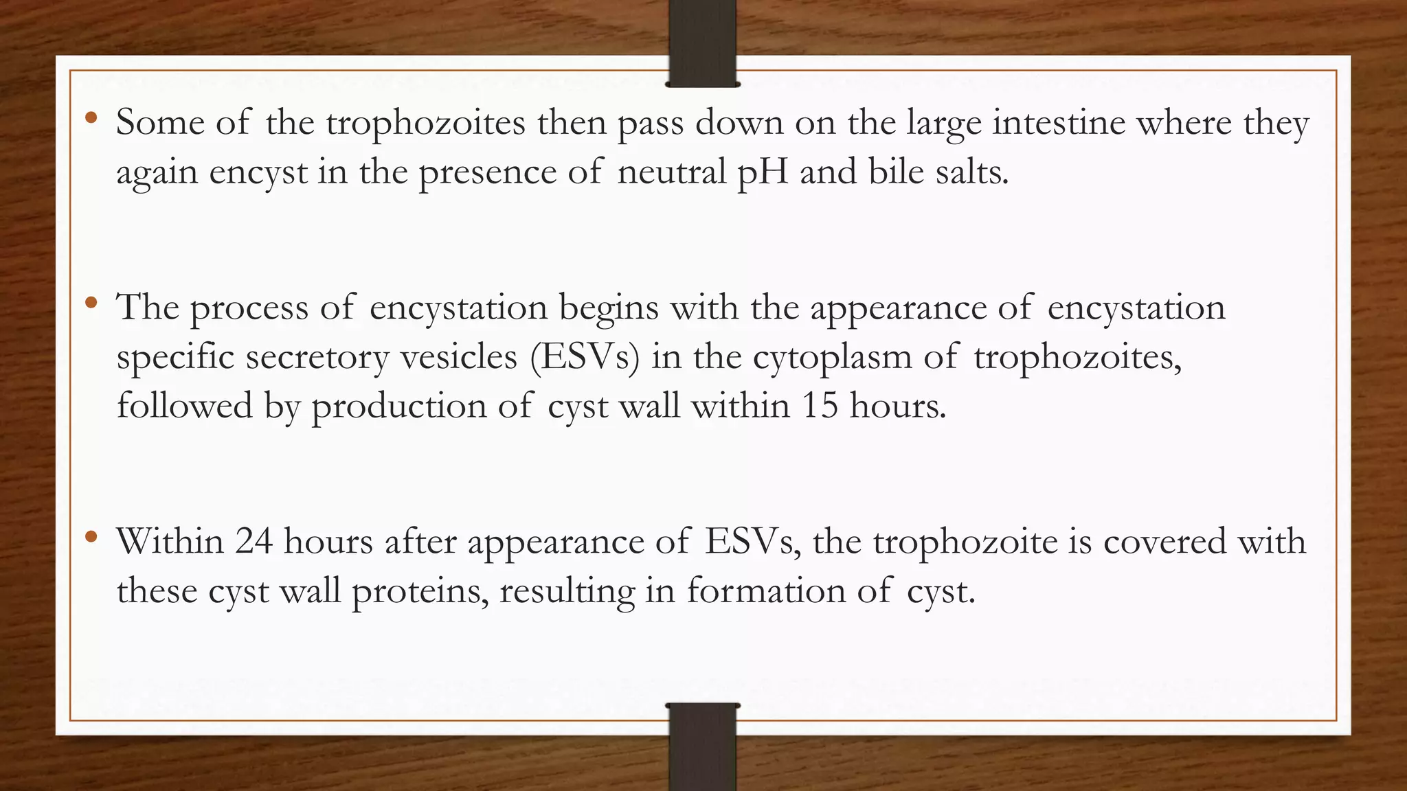 Giardia | PPTX