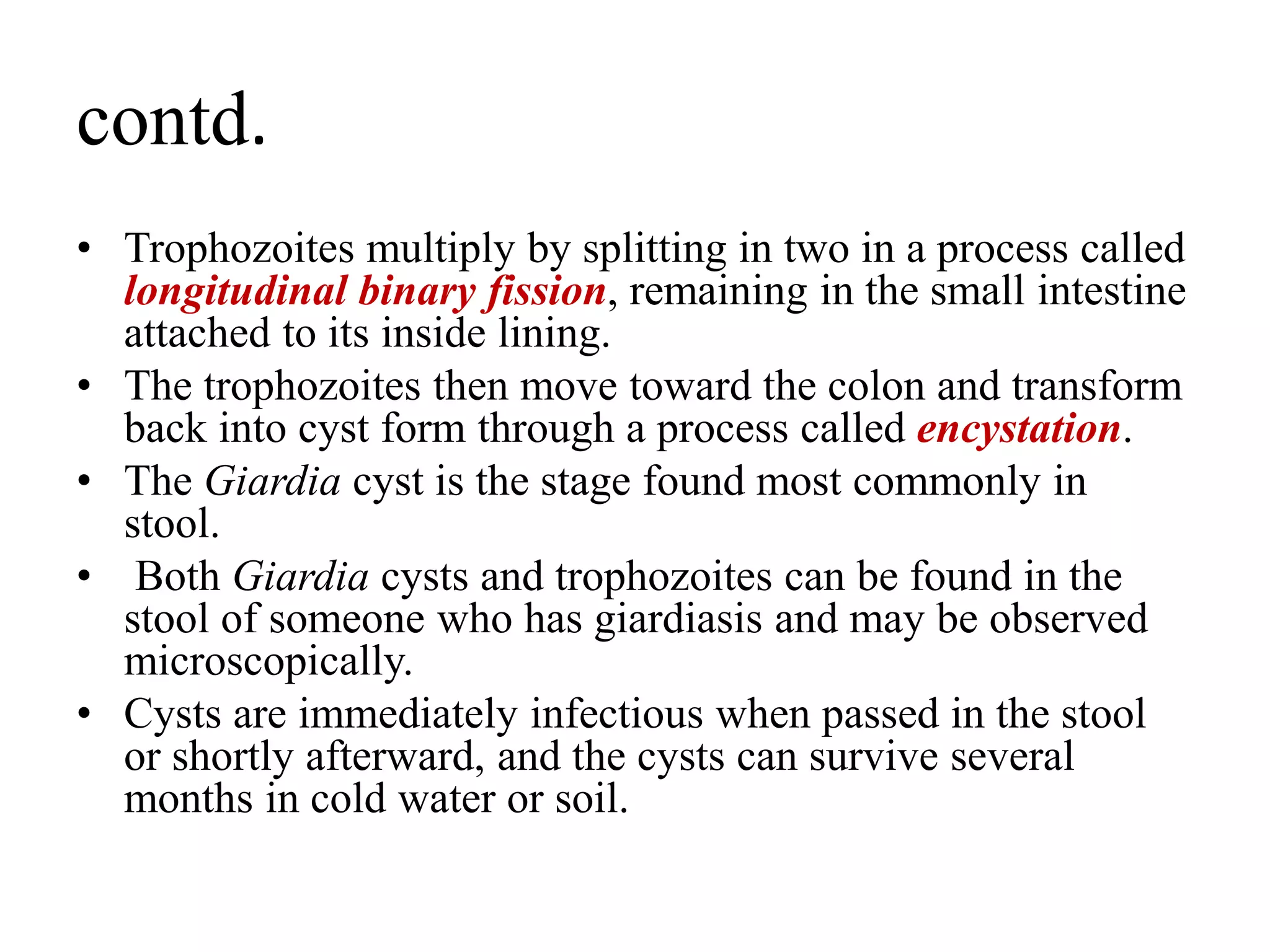 Giardia lamblia | PPTX