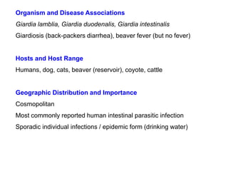 i slide presentation on giardia including all introduction | PPT