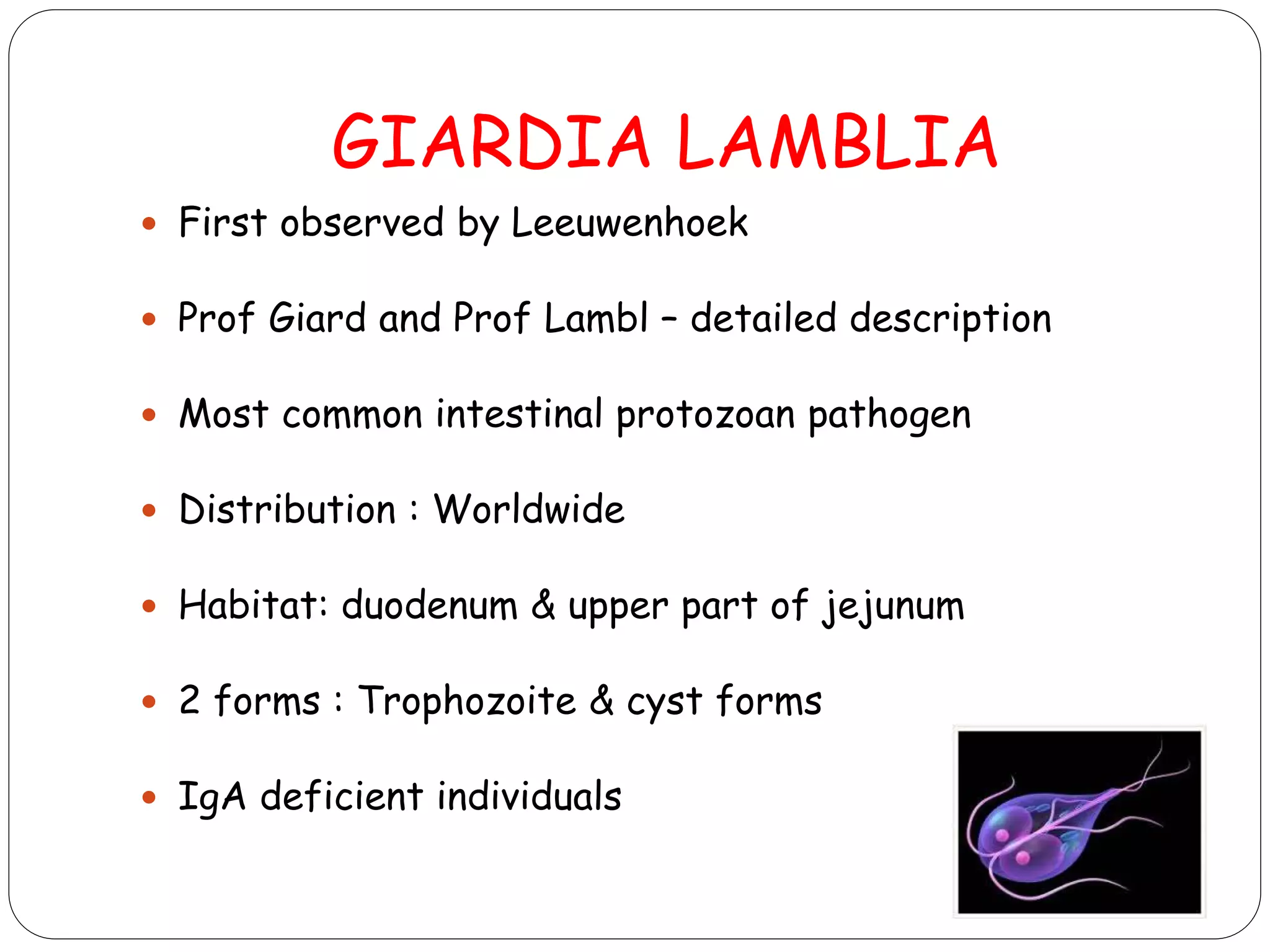 Giardia and trichomonas | PPTX | Digestive Disorders | Diseases and ...