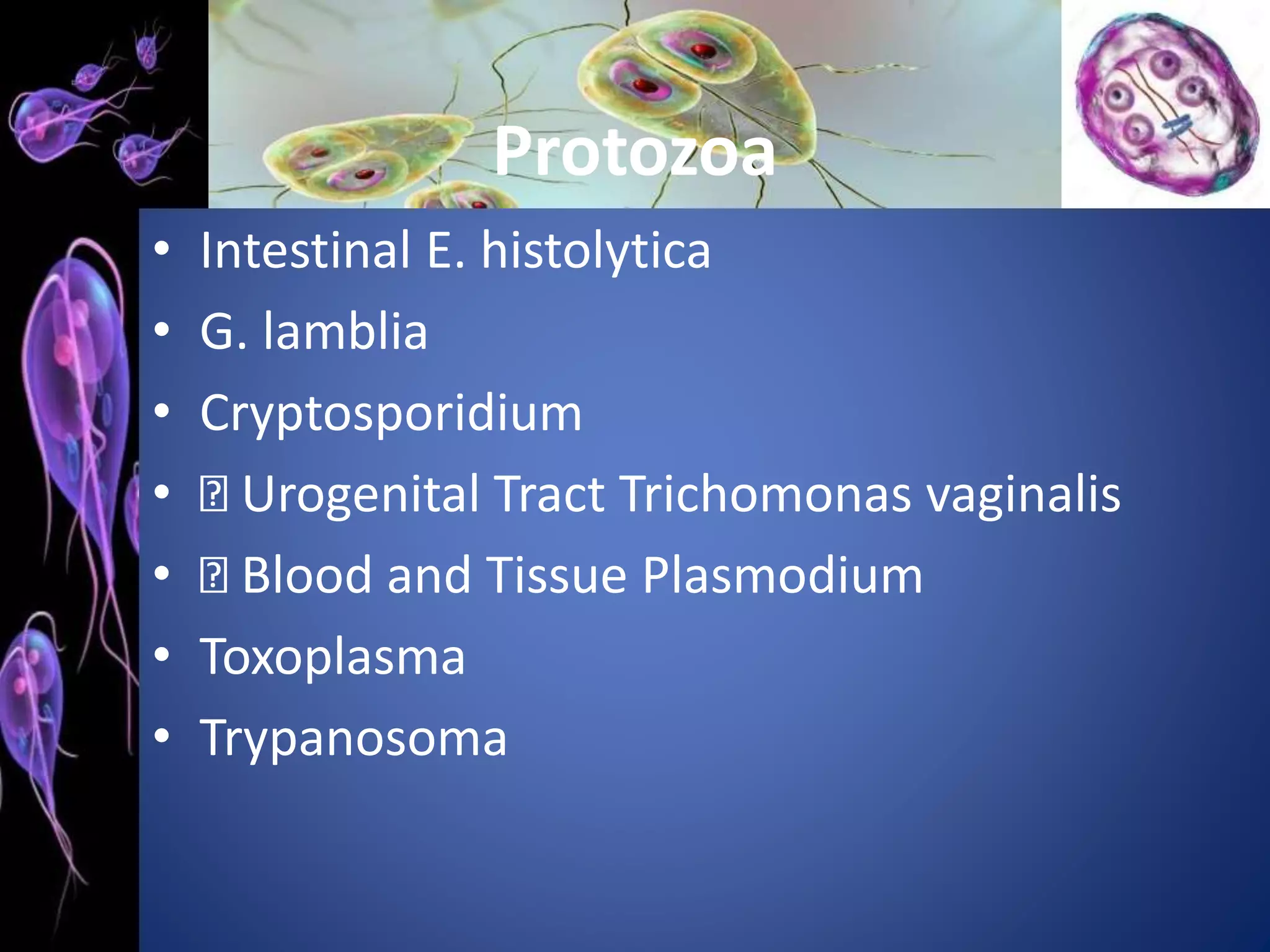 Giardia and Trichomonas | PPT