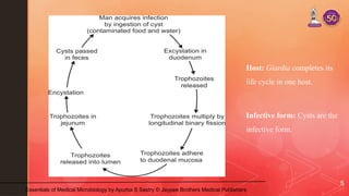 GIARDIA and TRICHOMONAS powerpoint presentation | PPTX