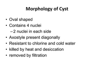Giardia and trichomonas 2020 | PPT