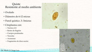 Giardia lamblia | PPTX
