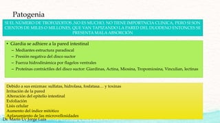 Giardia lamblia | PPTX