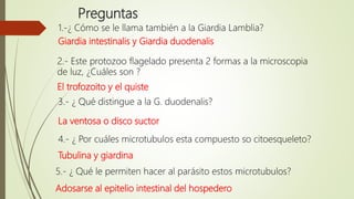 Giardia lamblia | PPTX