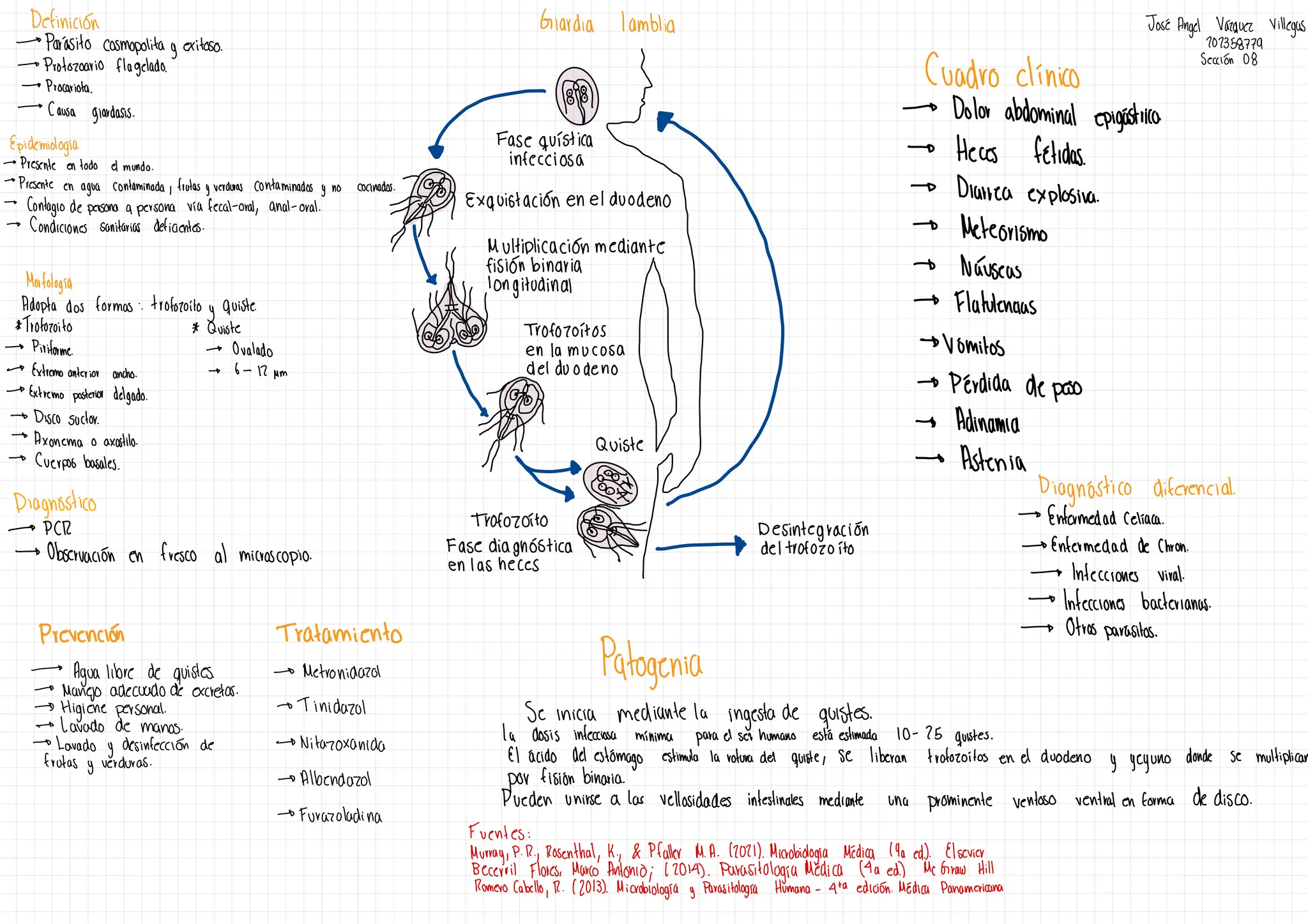 Giardia lamblia parasitología y micología .pdf