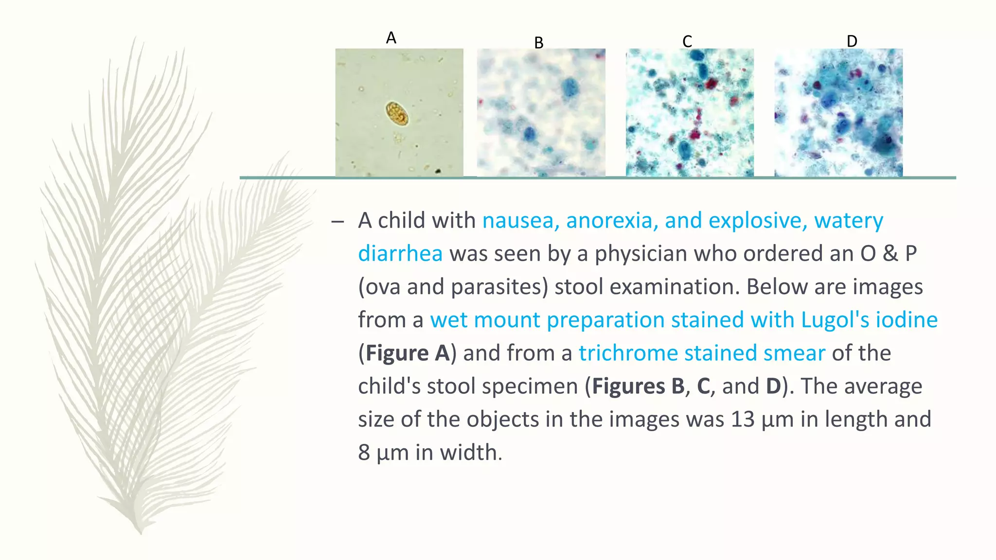 PARASITEOLOGY :Giardia lamblia | PPTX