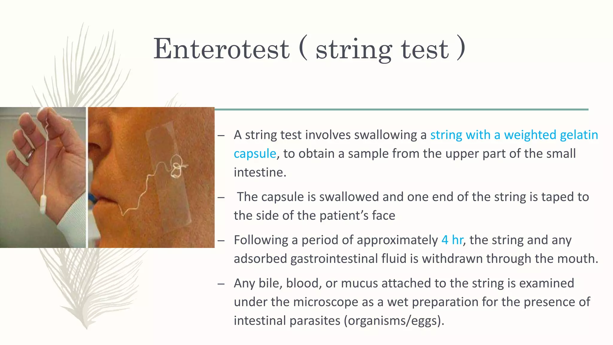 PARASITEOLOGY :Giardia lamblia | PPTX