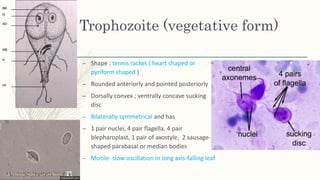 PARASITEOLOGY :Giardia lamblia | PPTX