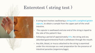 PARASITEOLOGY :Giardia lamblia | PPTX