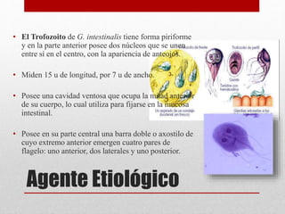 Giardiasis | PPTX